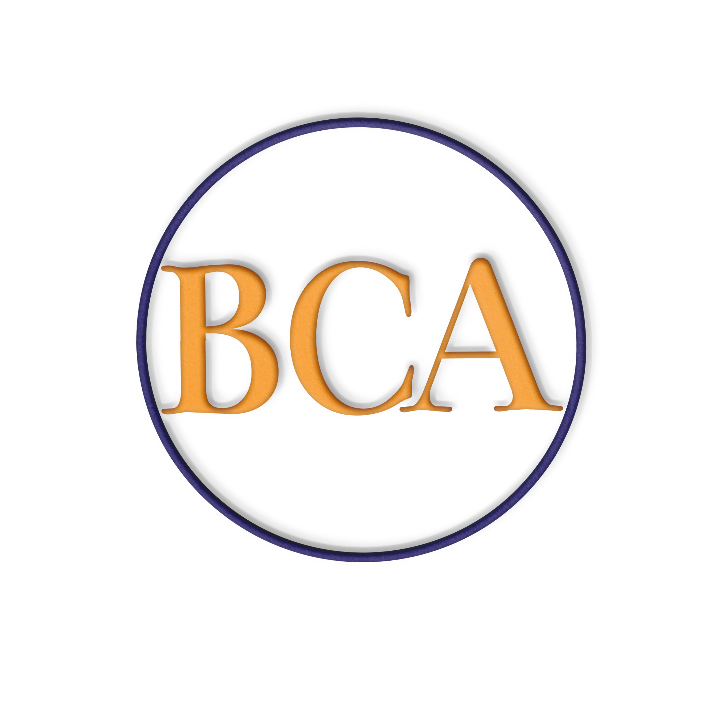 Home - Broad Capital Advisory (BCA)